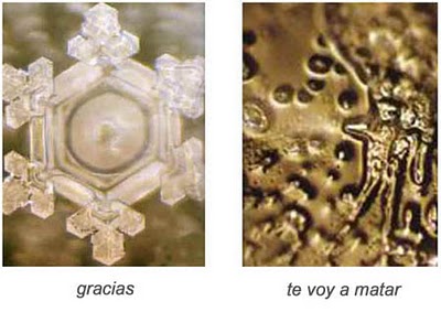 NATURALEZA VIVA: MENSAJES DEL AGUA. MASARU EMOTO