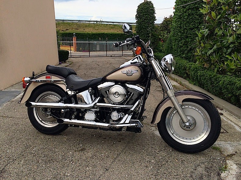 GalluzHead...... Be a Man ride a Pan : H-D Softail Fat Boy 95 ...