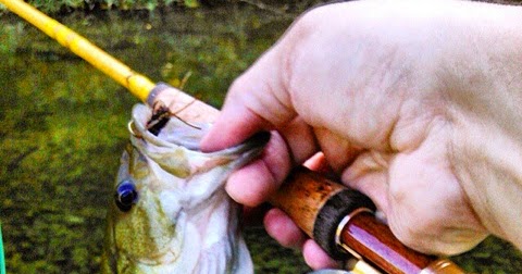 BUGGIN' OUT.: Pat's Rubber Legs - Nymphing for Bass