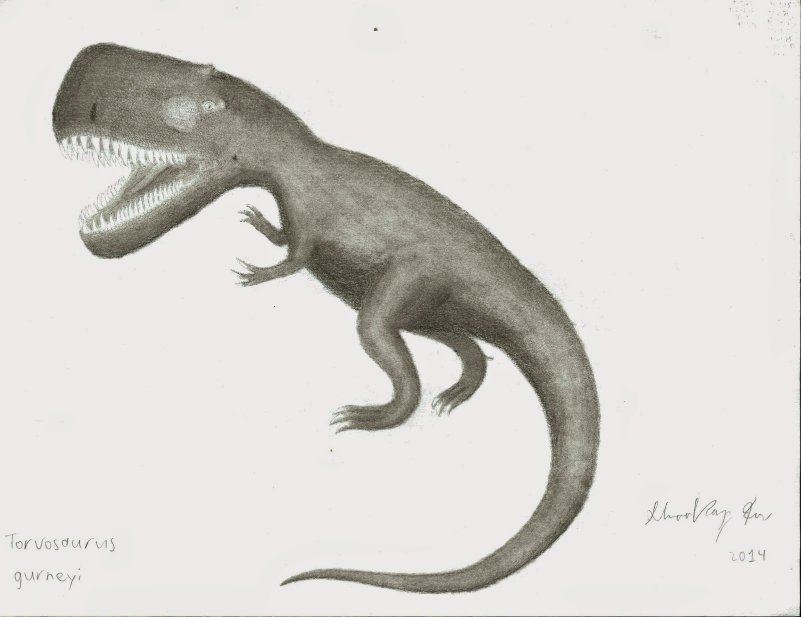 Sounder Art: Torvosaurus gurneyi