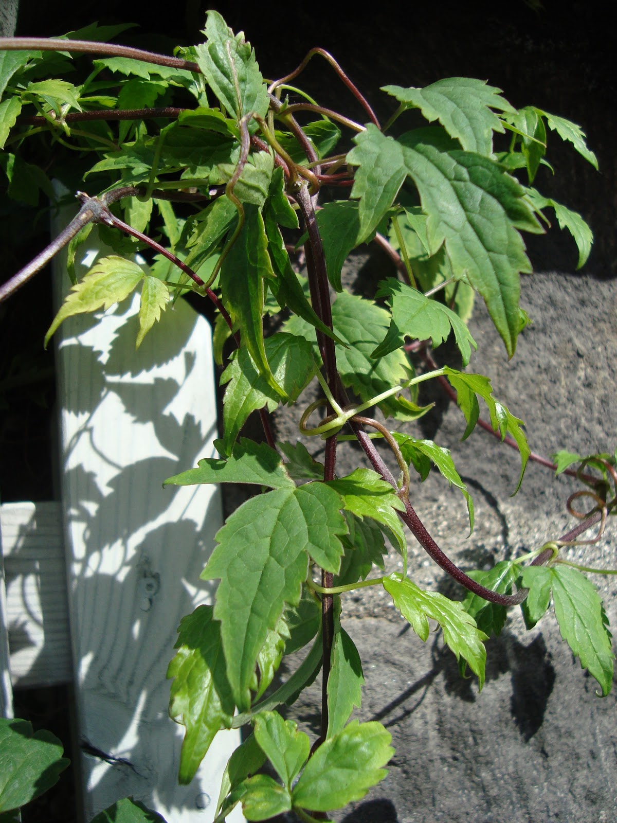 Julie Bazinet's Blog - My journey to Reykjavik, Iceland