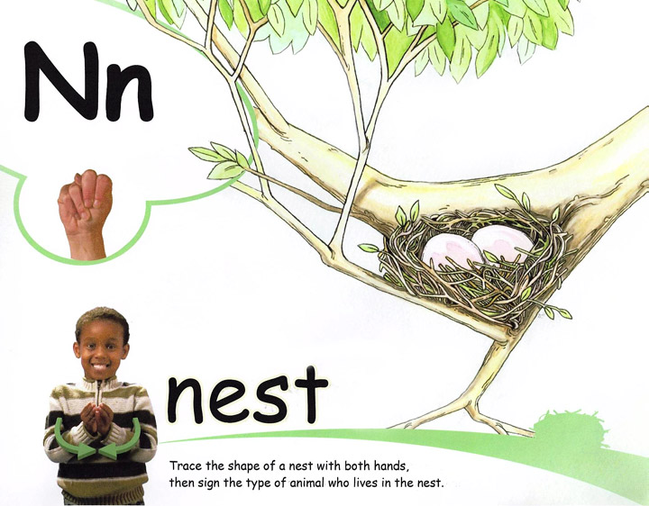 Storytime ABC's: Saturday Share: It's a Colorful Surprise!