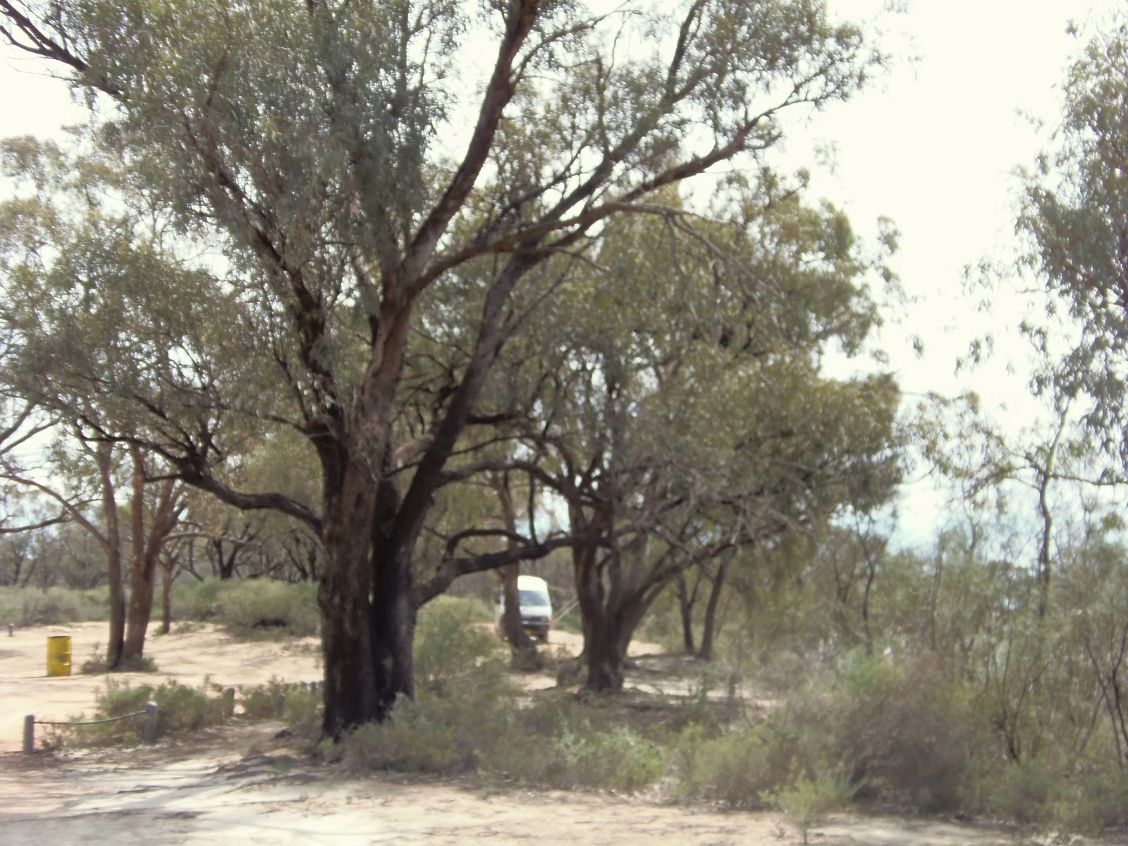 Solo Steve On The Road: MERBEIN COMMON Vic