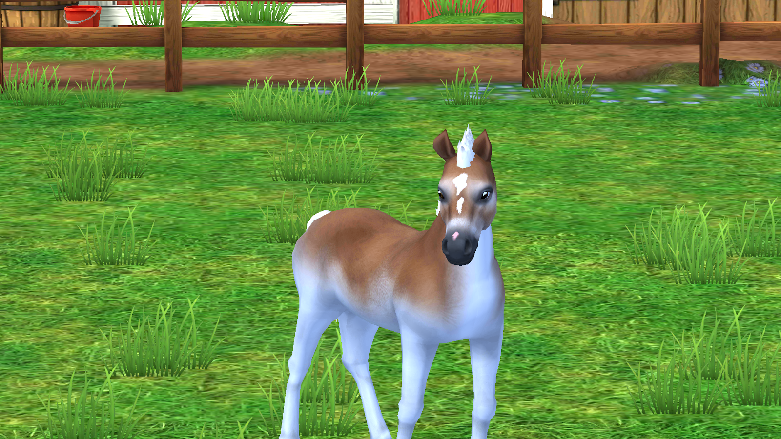 Haflinger Foals on the Star Stable App and an Update on My Predicament
