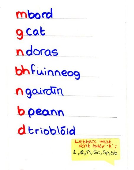 Study Notes By Kaz: Irish Vocab & Paper 1: OL