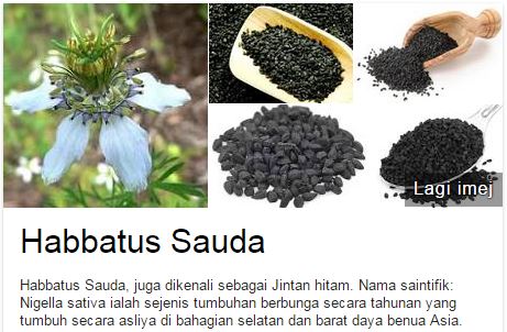 kaka.k: Khasiat Minyak Habbatussauda : Black Seed, the remedy for life