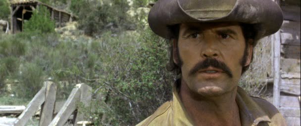 OIK´S BLOG: A MAN CALLED SLEDGE (1970)