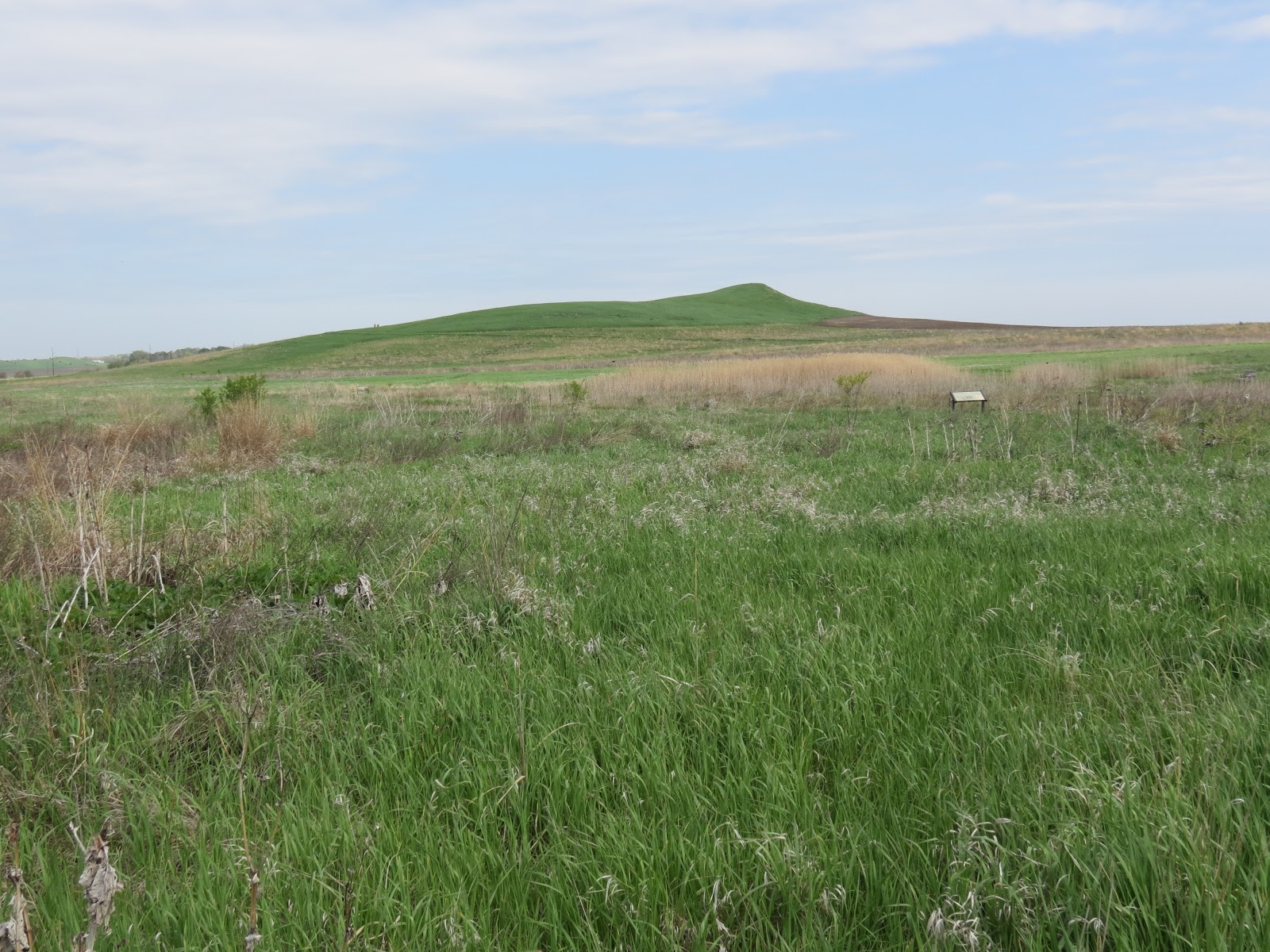 Hiking Sioux Falls: Spirit Mound Historic Prairie