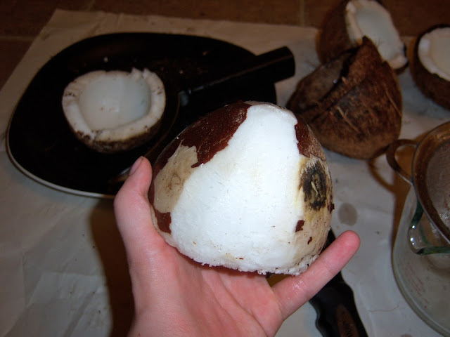Healing Cuisine: Product Review: The Coconut Tool + NEW RECIPES!!!!