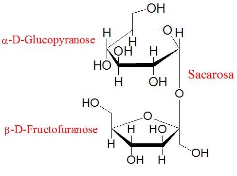 Rincon Cientifico: BIOELEMENTOS Y BIOCOMPUESTOS