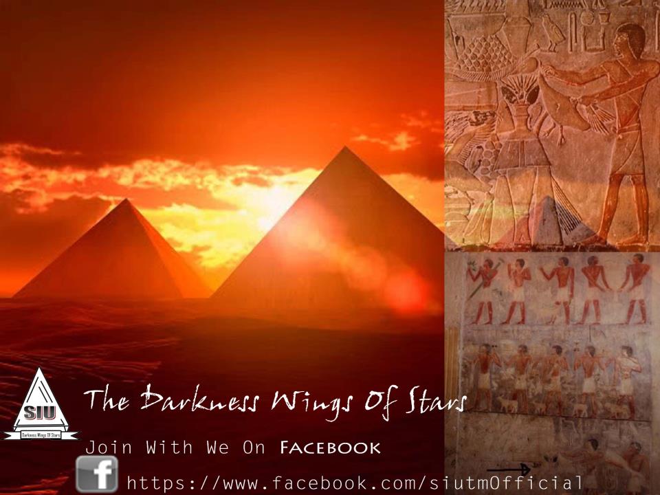 Special Investigation Unit (SIU): History