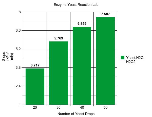 Ashley's Biology Blog: Enzyme Yeast Reaction Lab