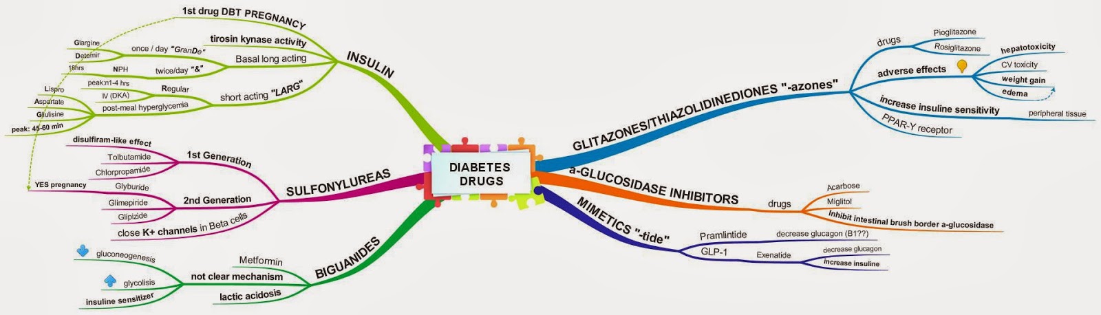 Medical MindMaps for USMLE Step 1: Diabetes Drugs