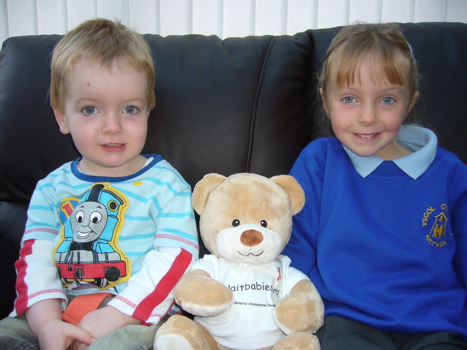 Nait Babies Blog: Croeso i Gymru Tedi! (Welcome to Wales Teddy!)