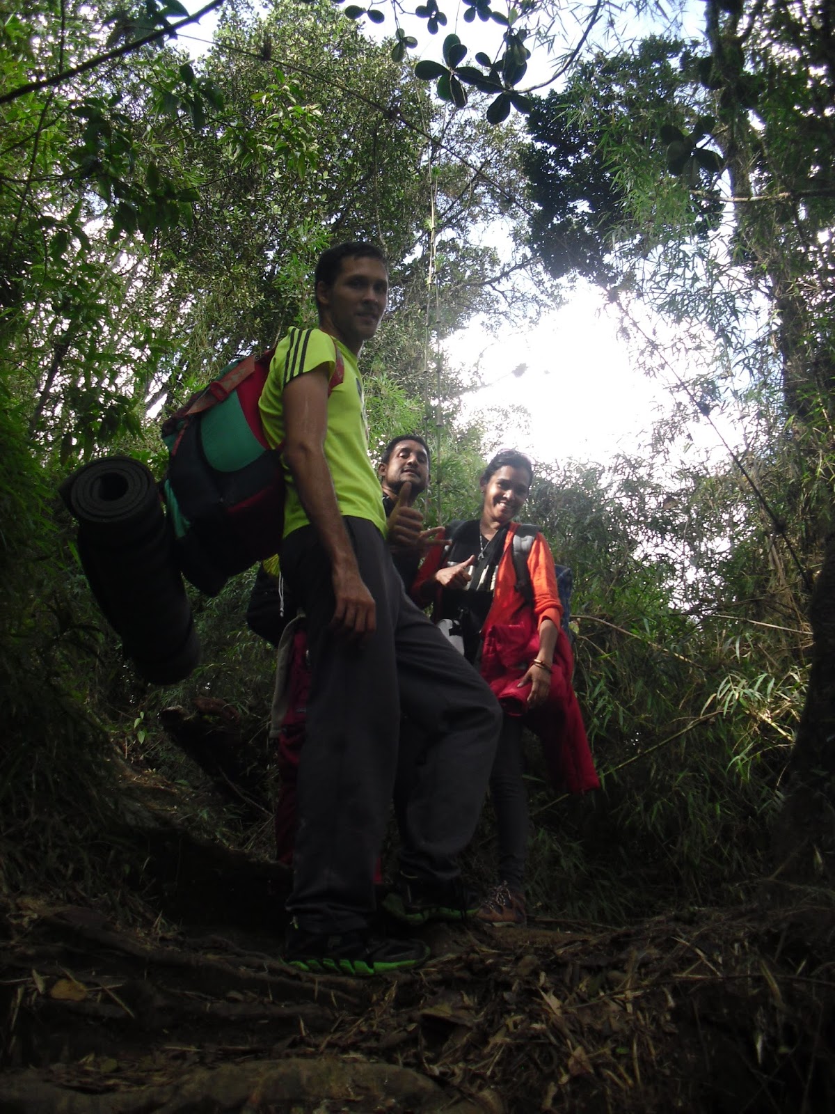 Andando por Venezuela: Pico Codazzi