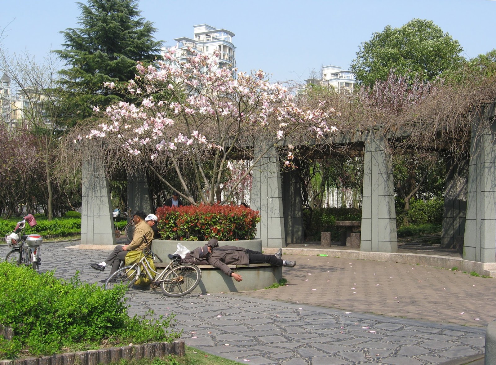 Jax Stumpes: CY Tung Maritime Museum, Flower Markets (4/1,3,6/2012)