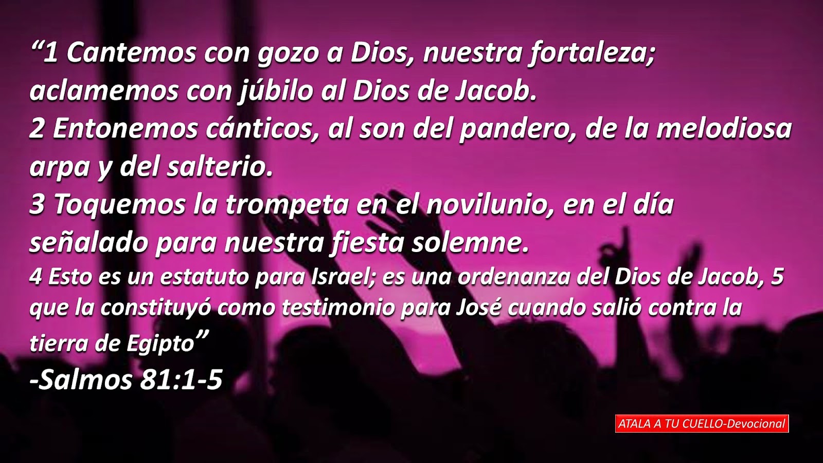 ATALA A TU CUELLO Devocional: Salmos 81