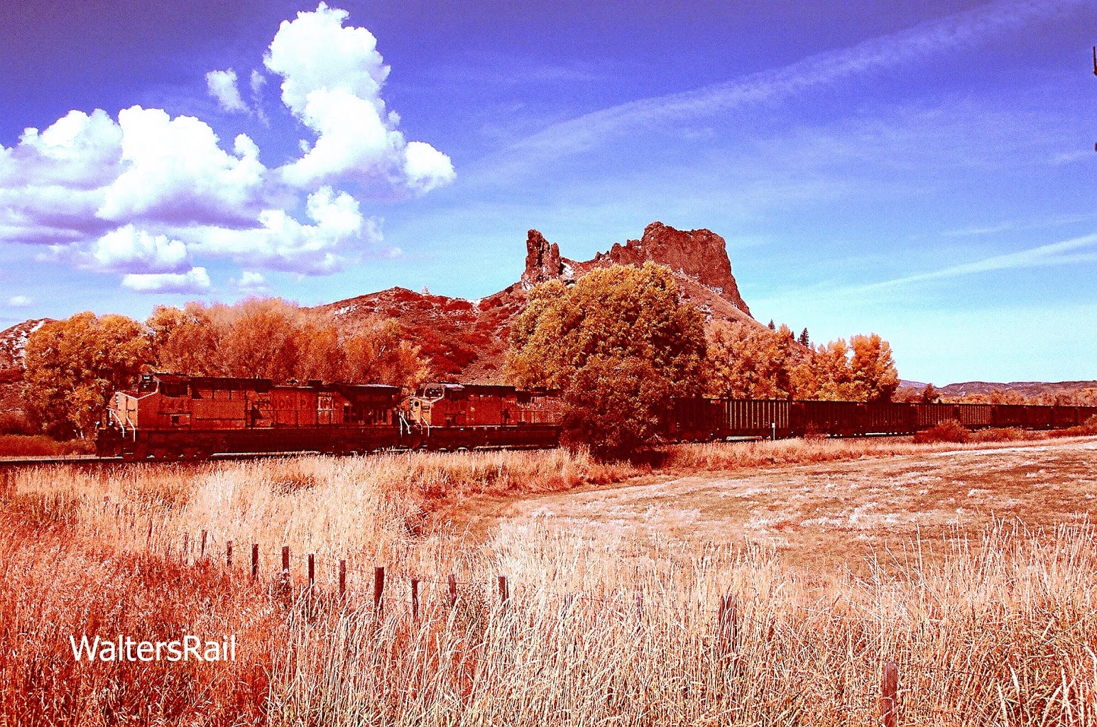 WaltersRail : UNION PACIFIC: The Craig Branch in its Prime