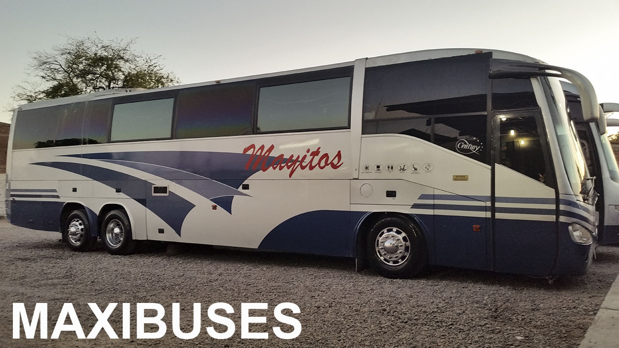 MAXIBUSES: AUTOBUSES LOS MAYITOS