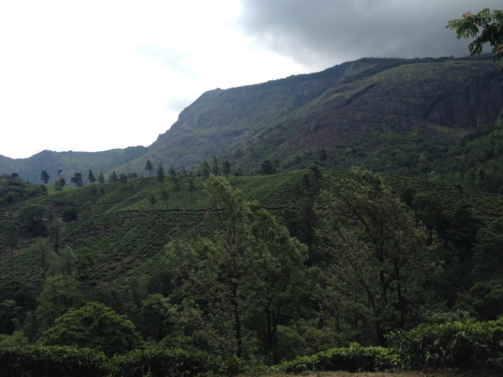 KANTHALLOOR THE LAND OF FRUITS | TOURIST ATTRACTIONS IN KANTHALLOR ...