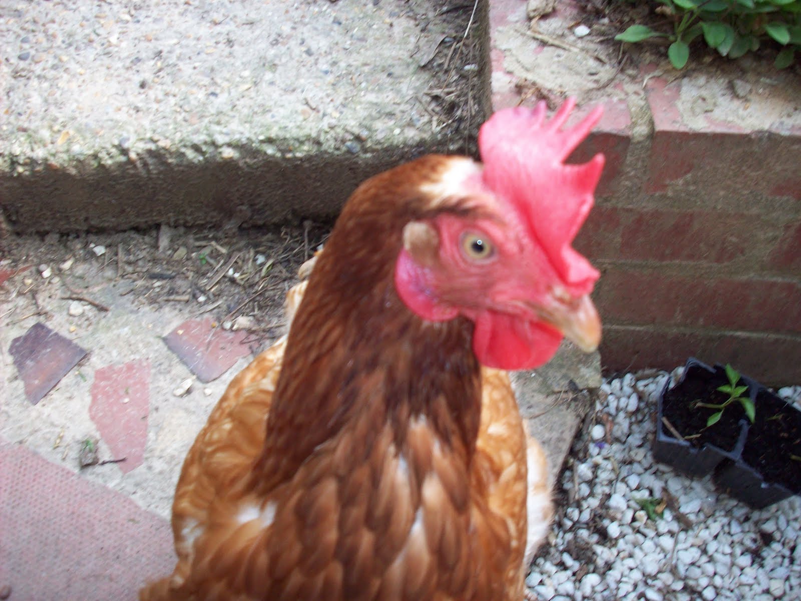 The Spiral Tower of Inky Doom: 2011