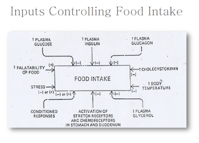 Inputs Controlling Food Intake Diagram
