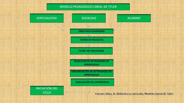 "MODELOS CURRICULARES": MODELO CURRICULAR DE RALPH TYLER