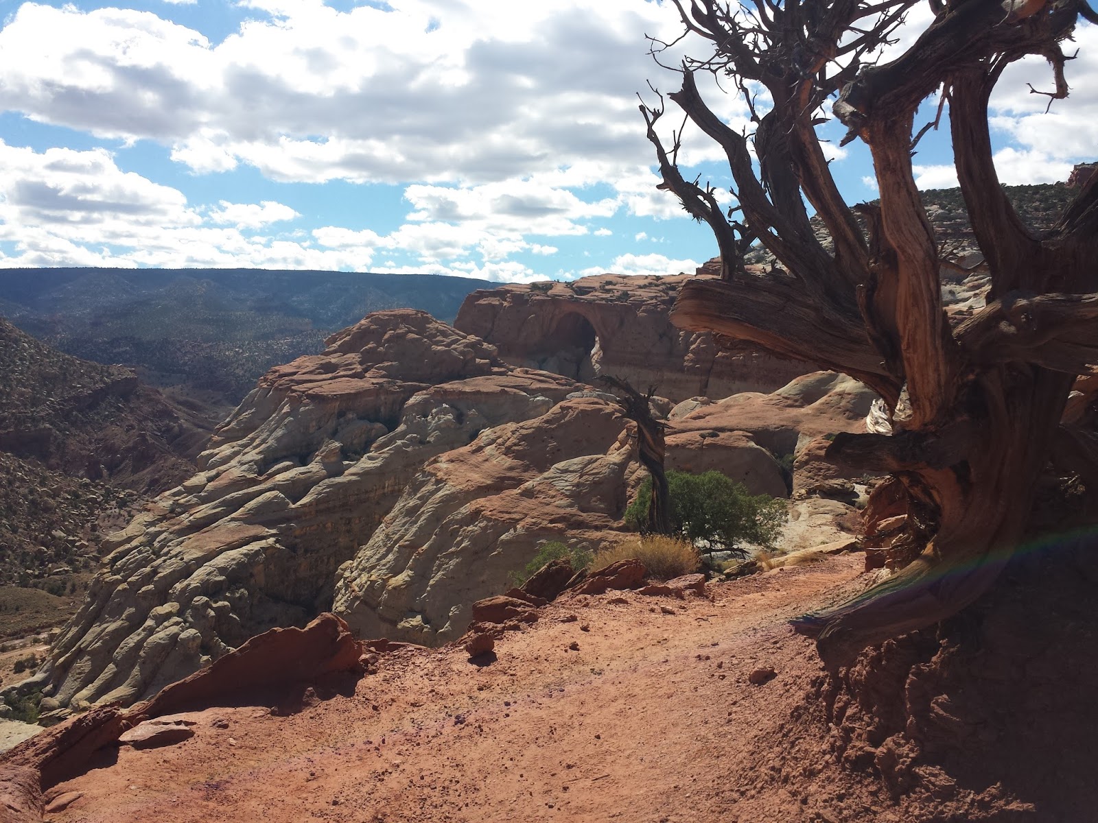 Scott's Twisted Travels