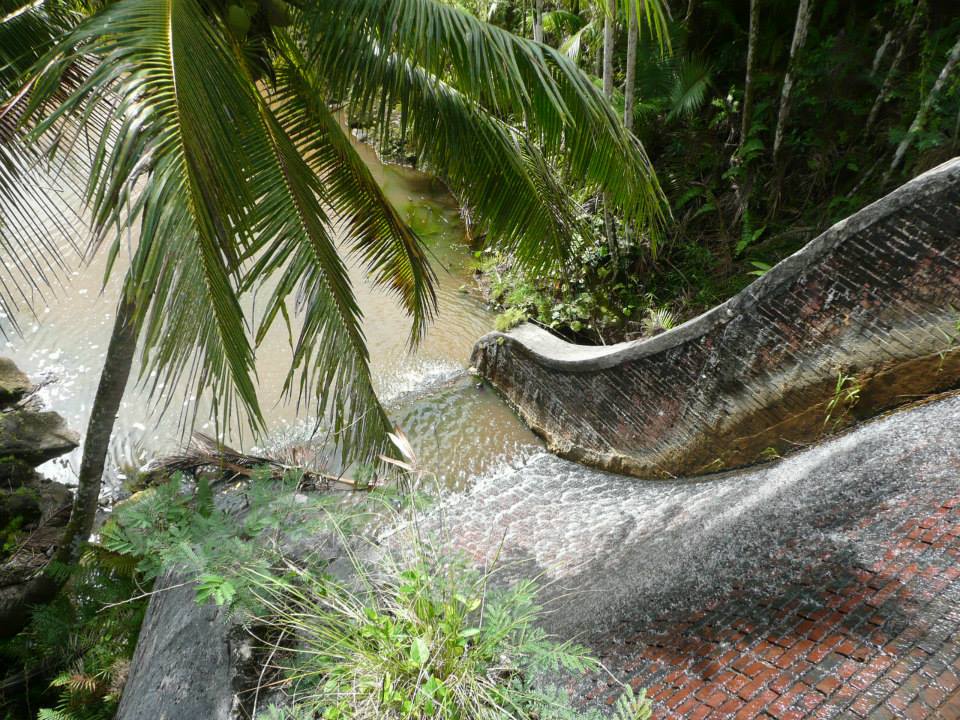 Turtle Tours Guam: Jungle Hiking Tour - www.turtletoursguam.com