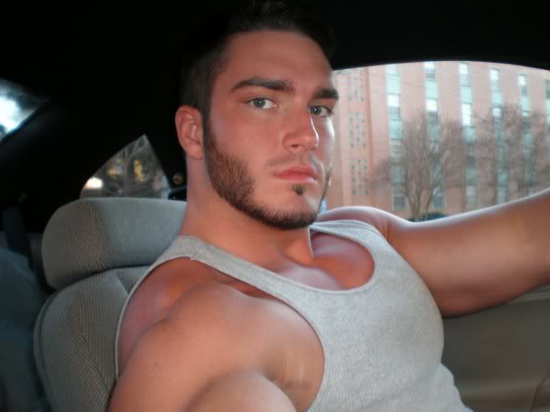 American Pictures 2012