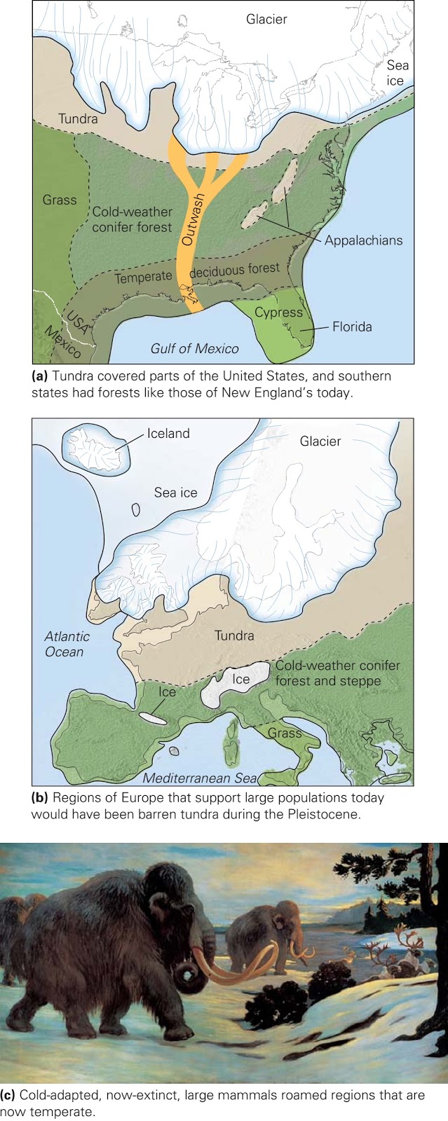 The Pleistocene Ice Age ~ Learning Geology