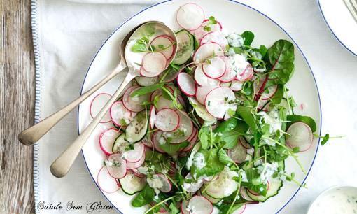Saúde Sem Glúten: Salada de Pepino e Rabanete