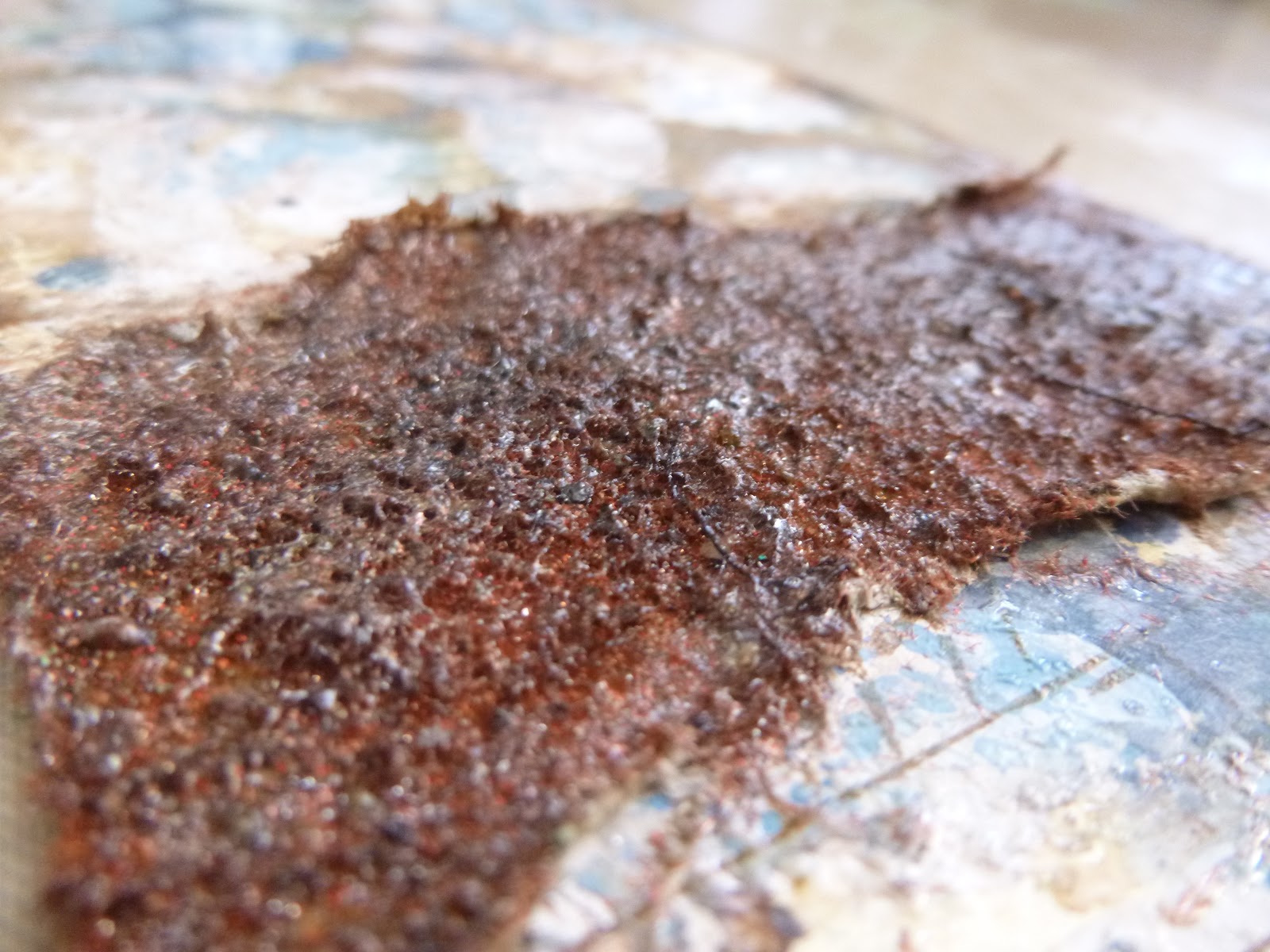 Words and Pictures: Rusty and Crusty