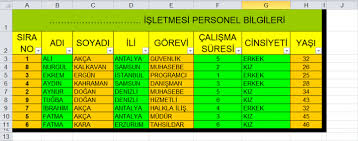 Microsoft Office Programları: EXCEL TABLO ÖRNEKLERİ