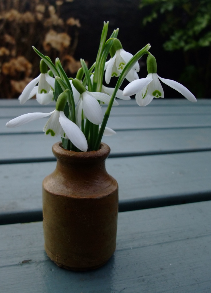 A N D A M E N T O: The ripple, blooming daises, and a whole lot more...