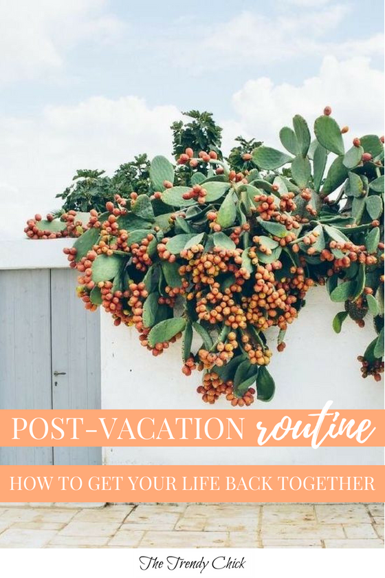 Post- Vacation Routine - The Trendy Chick