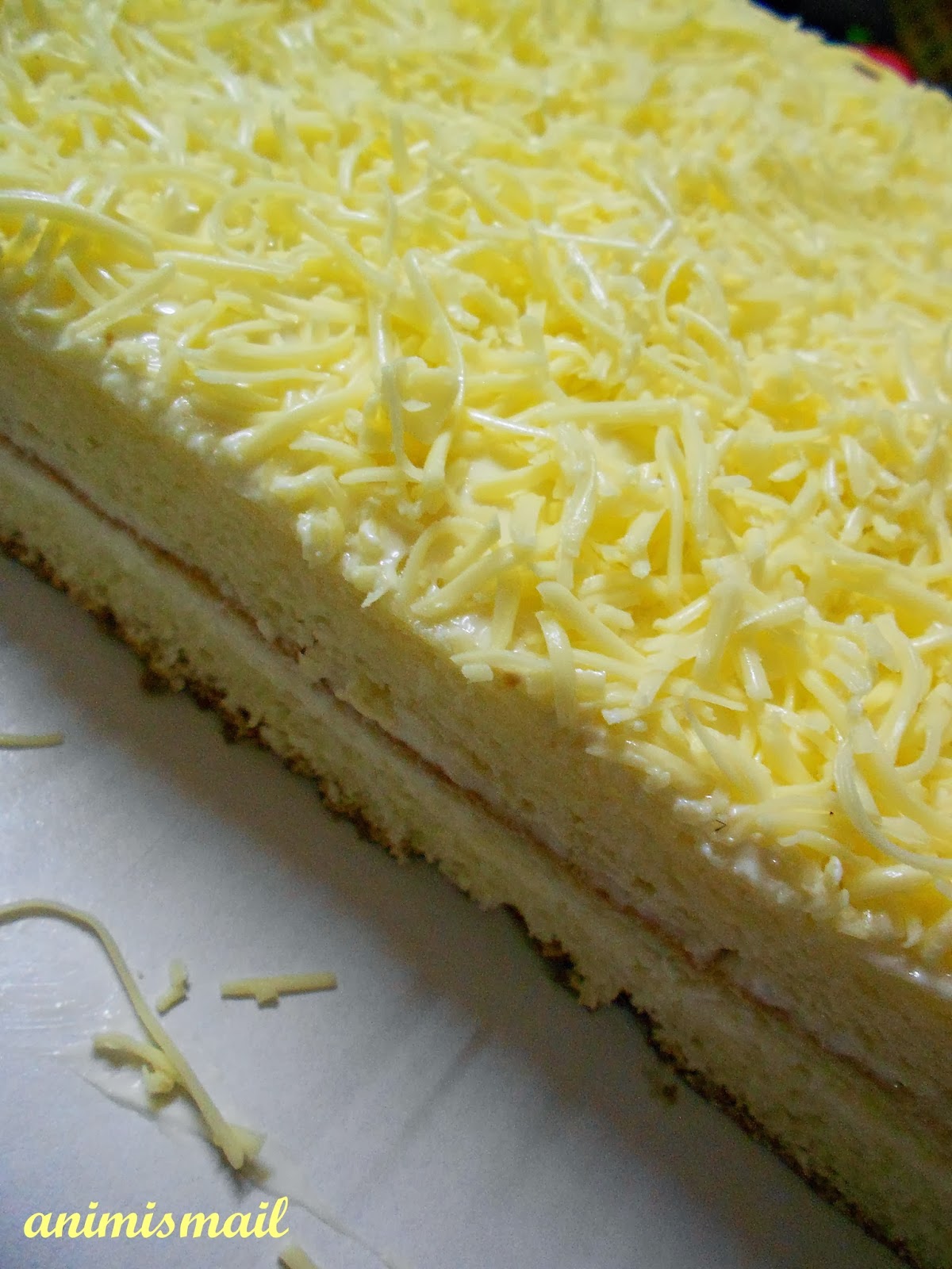 Cheesy Cheesecake | a N i M