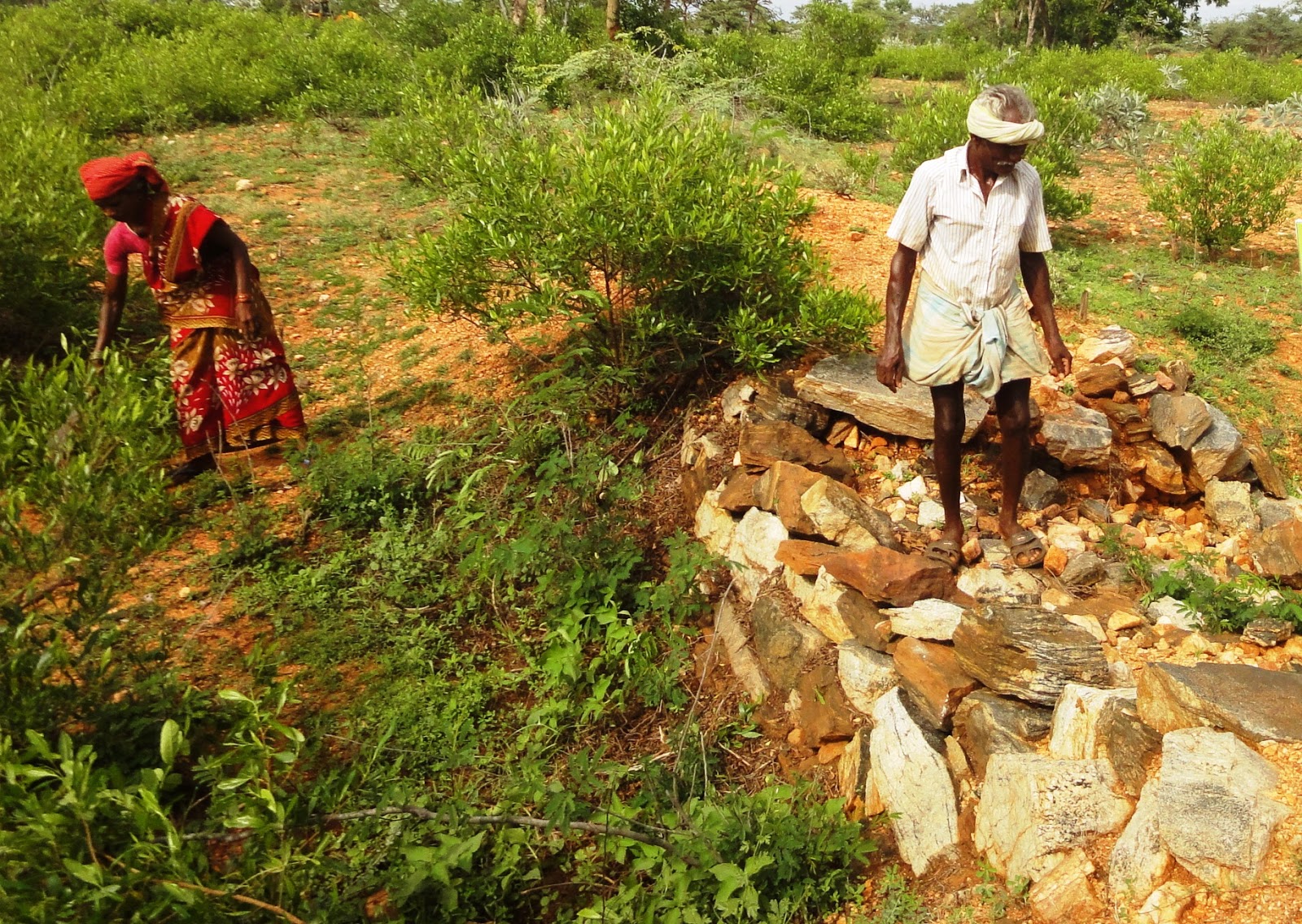 NGO News blog, NewsLine: SEVAI Project :Thottiyapatty and ...