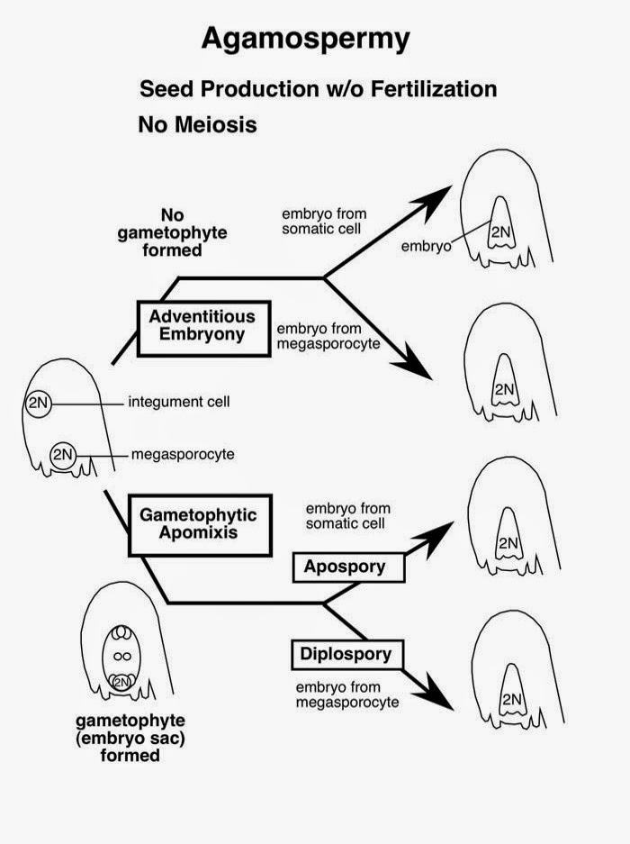 Amriadin Agroteknologi