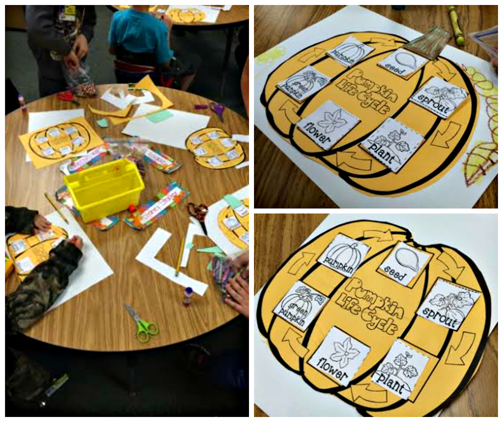 Paiges of Learning: Five for Friday {October 24th, 2014}