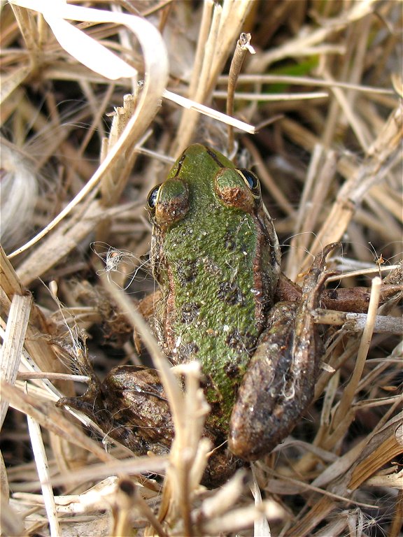 The Natural Stone: Northern Greece