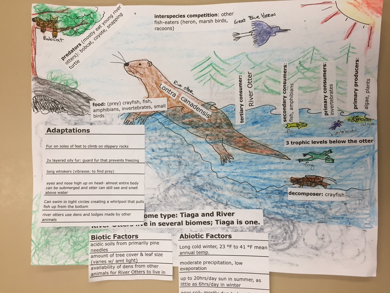 Biology- Chinook Academy (Kemper): Finding Your Niche Poster Project Biology- Chinook Academy (Kemper): Finding Your Niche Poster Project