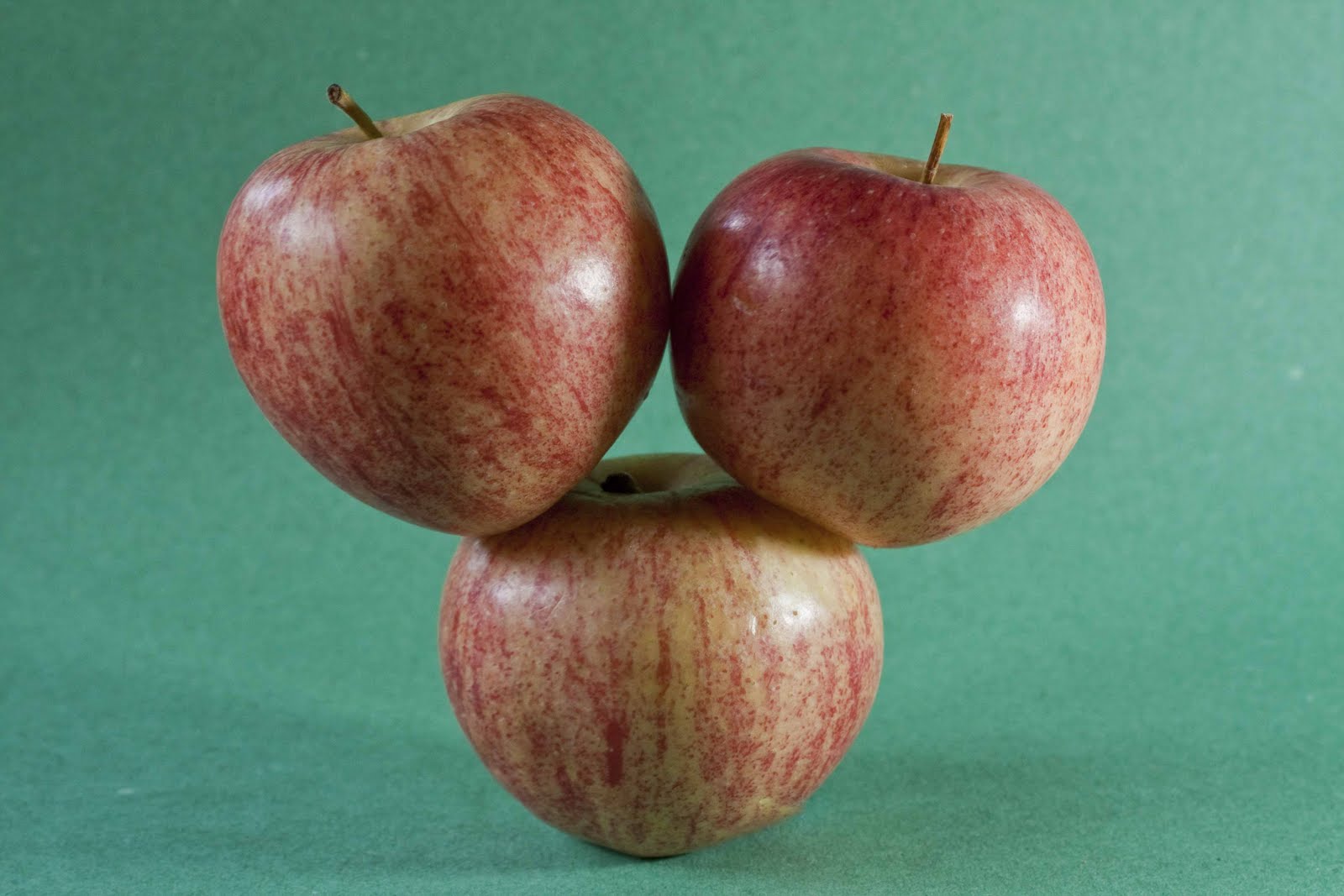 The Art of Photography: Real and implied triangles