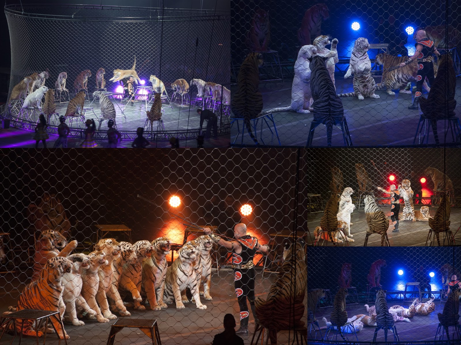 All Things Elise & Alina: Ringling Brothers & Barnum and Bailey Circus ...