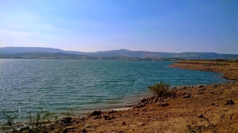 radhanagari wildlife and sanctury: RADHANAGARI DAM BACK WATAR