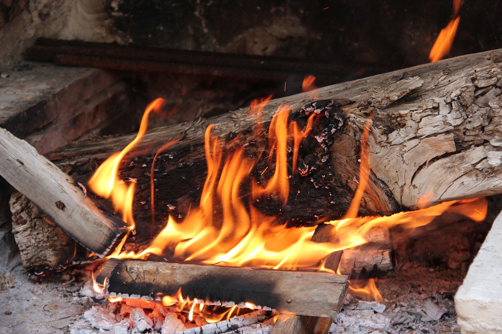 photojosh: "Arderás en el infierno"