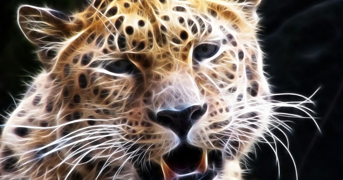 Animals 3D Wallpaper For Desktop