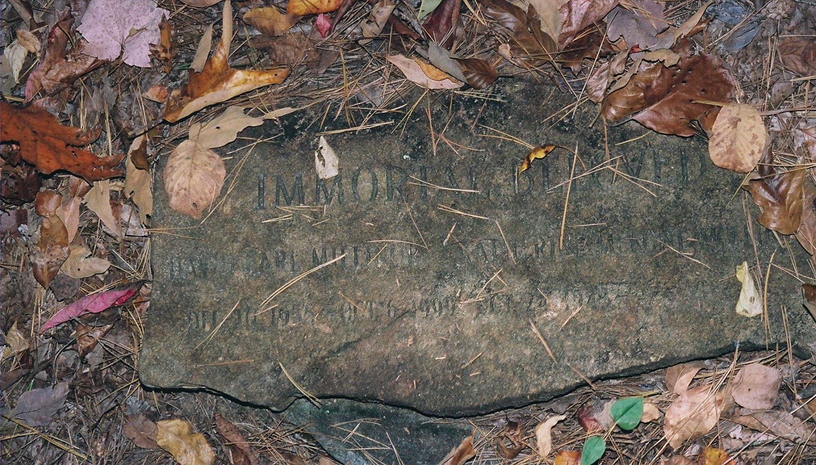 Grave Matters - A Journey Through the Modern Funeral Industry to a ...