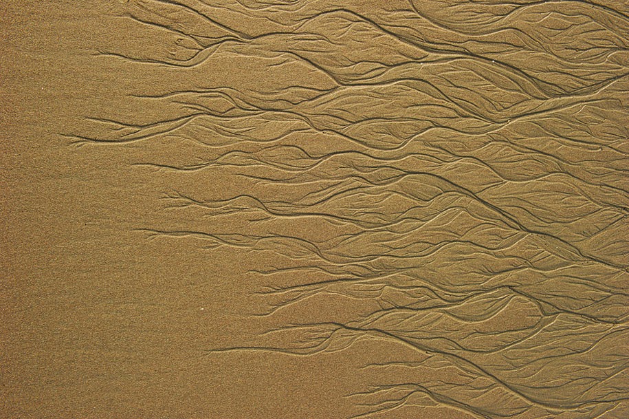 35 Breathtaking Examples of Patterns in Nature