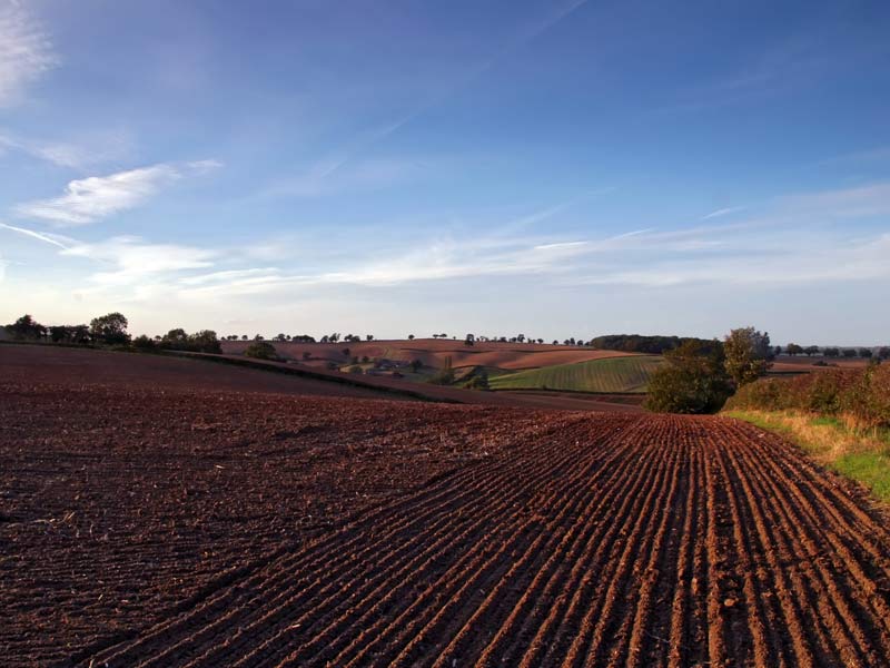 Free Wallpaper Bad Field Pictures